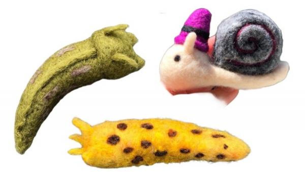 Slime Trails: Felted Banana Slugs + Snails with LeBrie | Multnomah ...